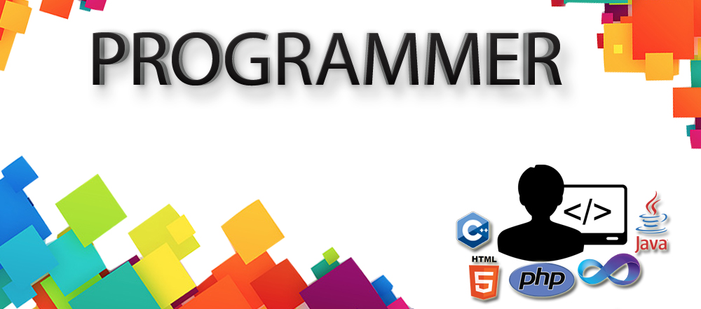 Programmer - Philippines Web Design | Davao City Web Developers | IT ...
